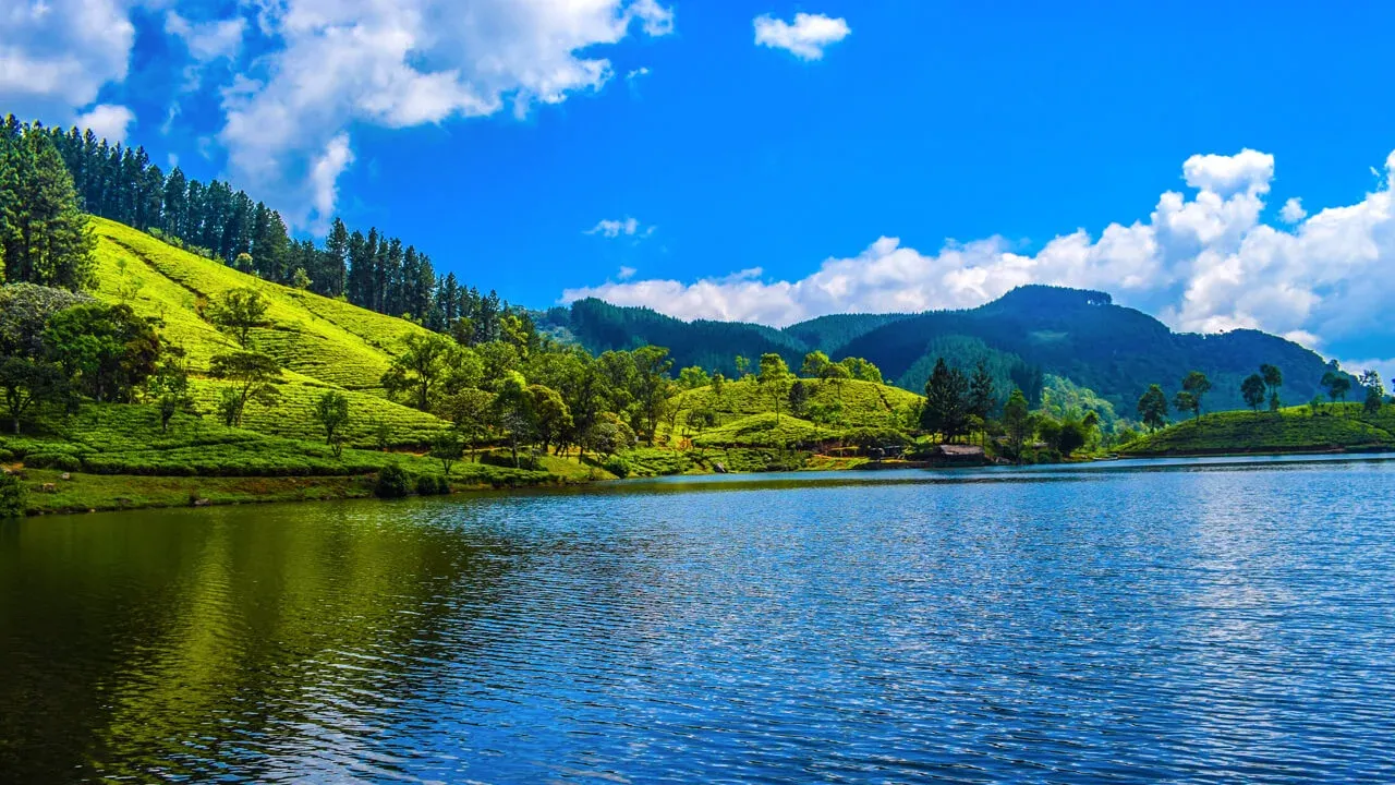 Lands for Sale in Matale